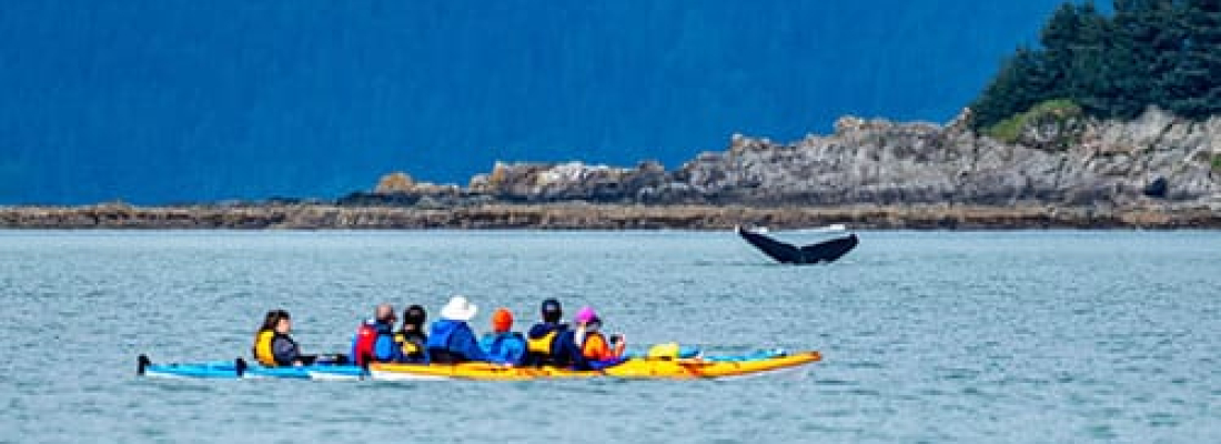 Review: Above and Beyond Alaska Kayaking with Whales Experience – Above ...
