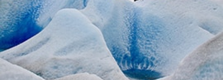 Discover the Beauty of Mendenhall Glacier – Above & Beyond Alaska